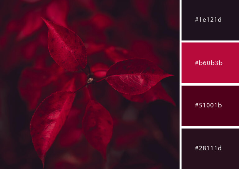 Ten Fantasy-Inspired Color Palettes - Safia decor