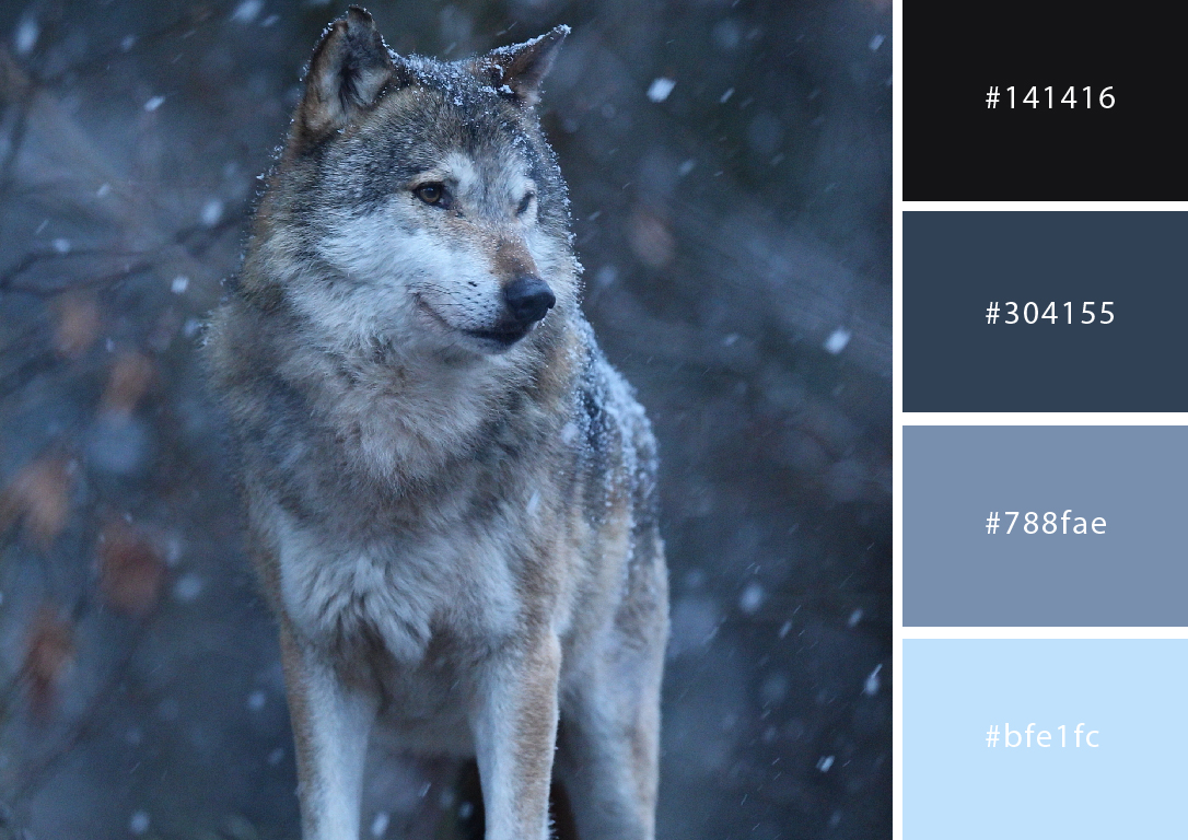 Ten Fantasy-Inspired Color Palettes - Safia decor
